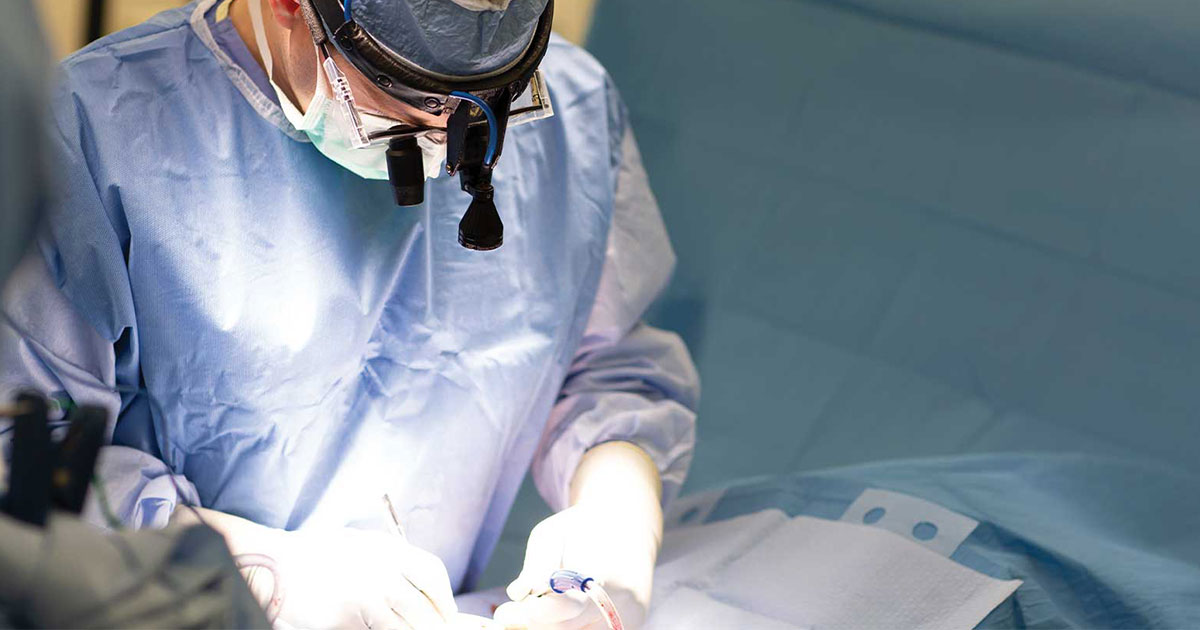 Evolution of an Idea